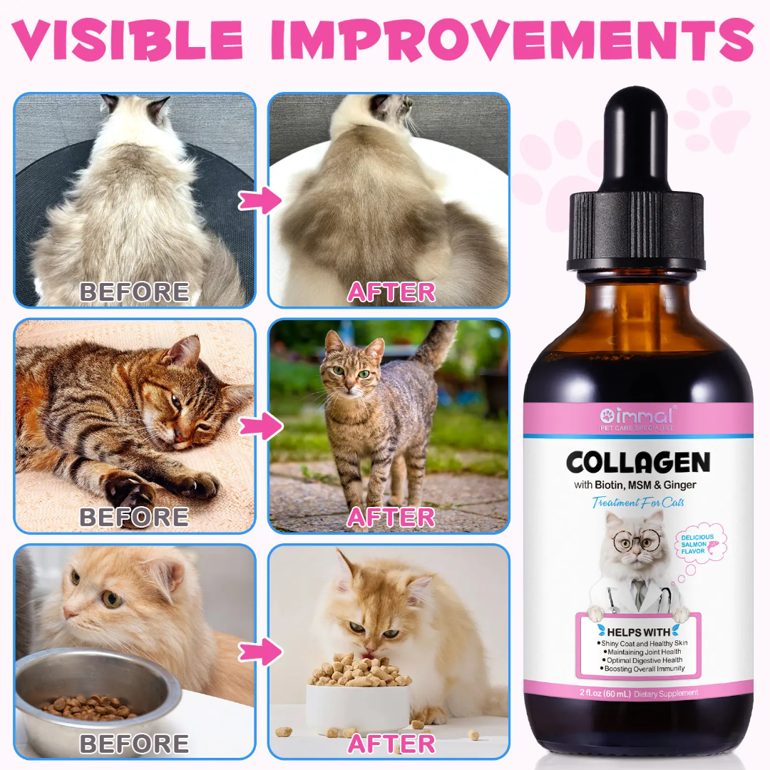 COLLAGEN BOOST FOR CATS – furfect treat