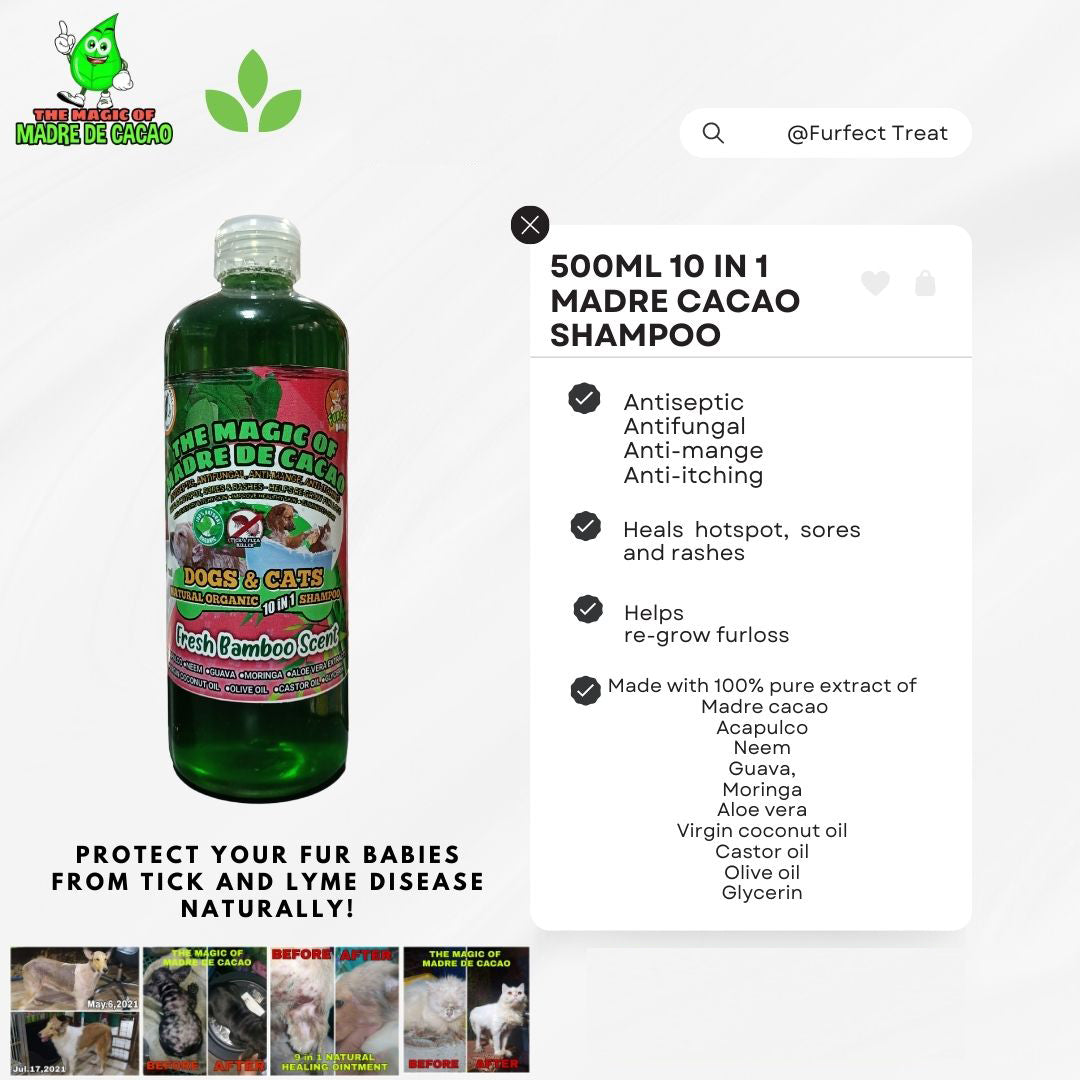 500ml 10 in 1 MADRE DE CACAO SHAMPOO – furfect treat