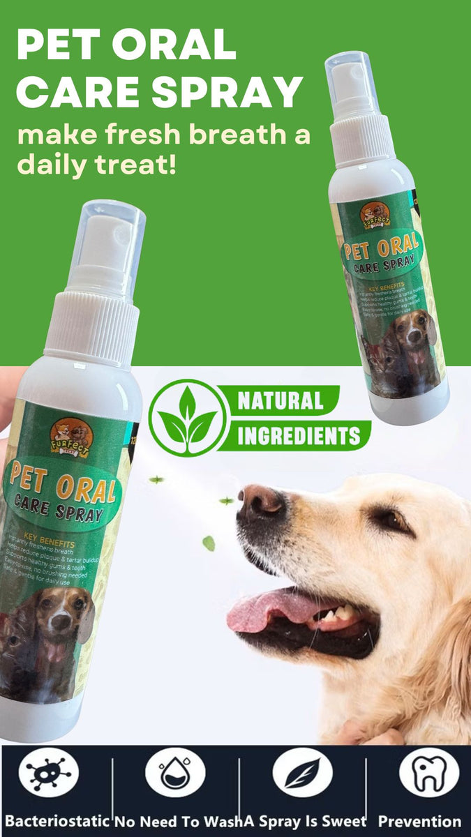 BUY 1 TAKE 1 PET ORAL CARE SPRAY 120ML – furfect treat